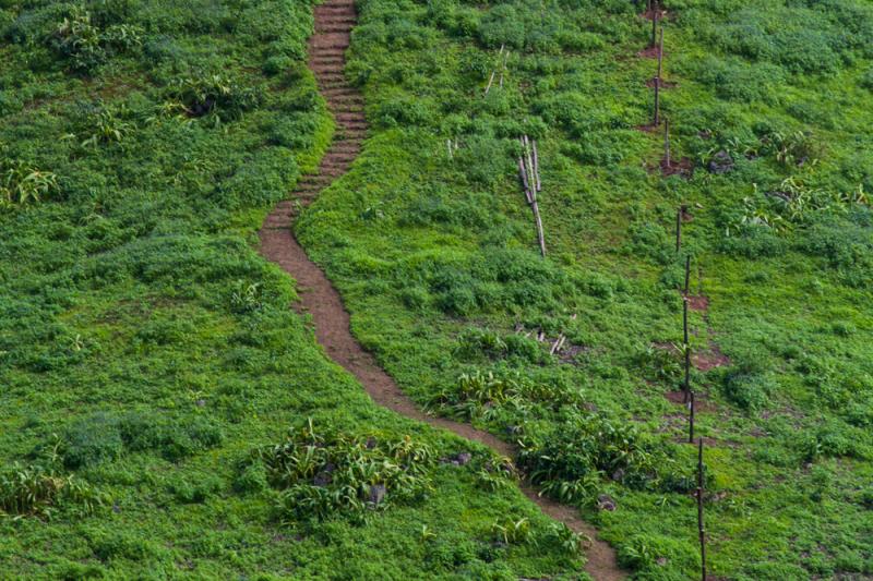 Info Lomas de Asia |Lima - Perú